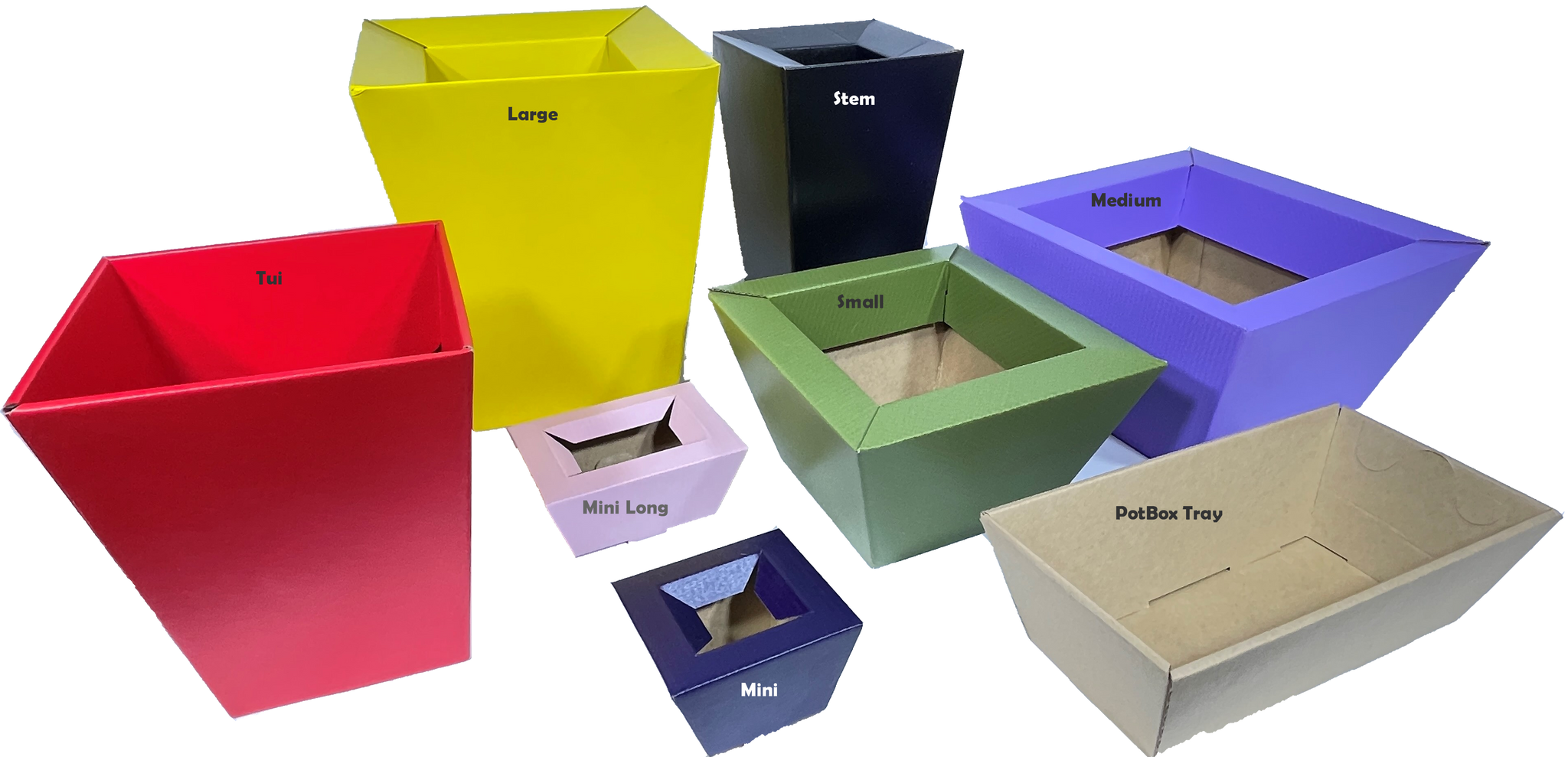 Collections – BloomBox