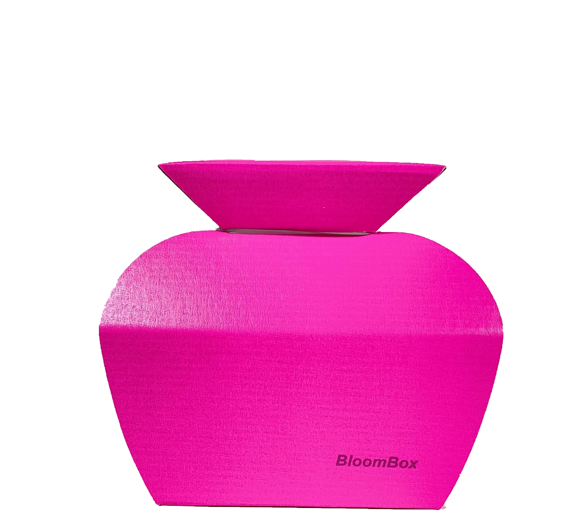 BloomBox Small